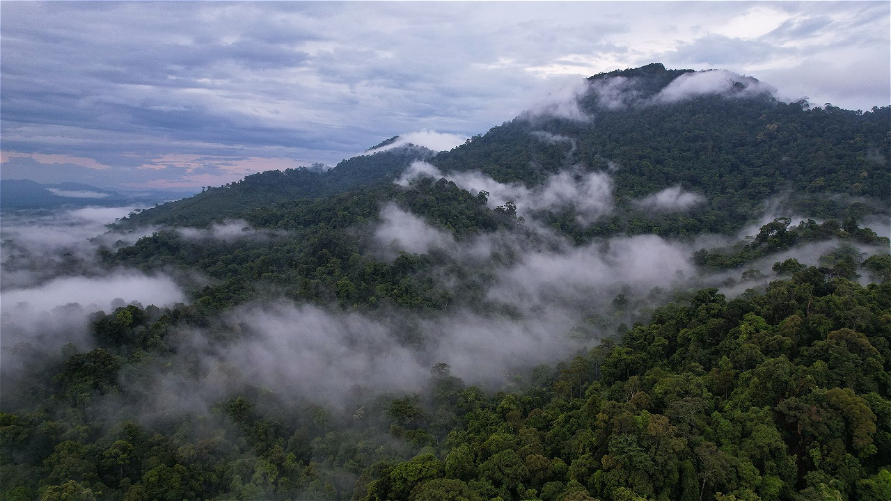 Why Transboundary Conservation Matters Wwf Id